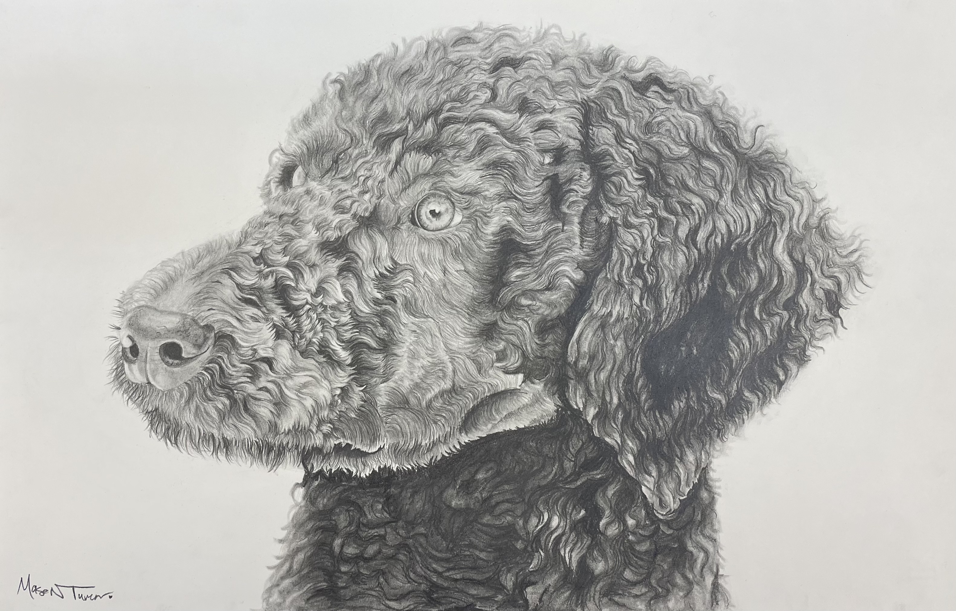 Portfolio – Mason Turner